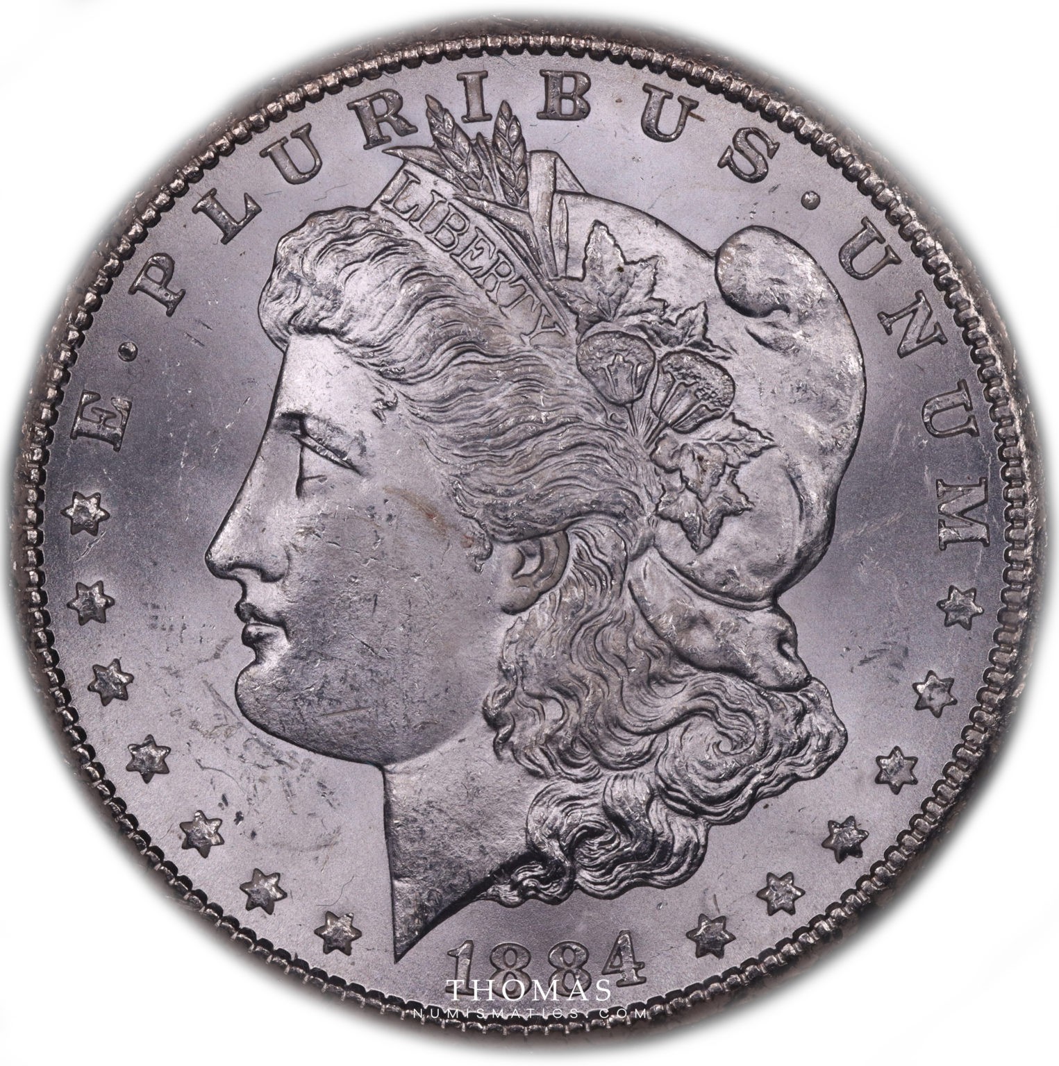 Carson City Morgan Dollar: the US Treasure - Thomas Numismatics