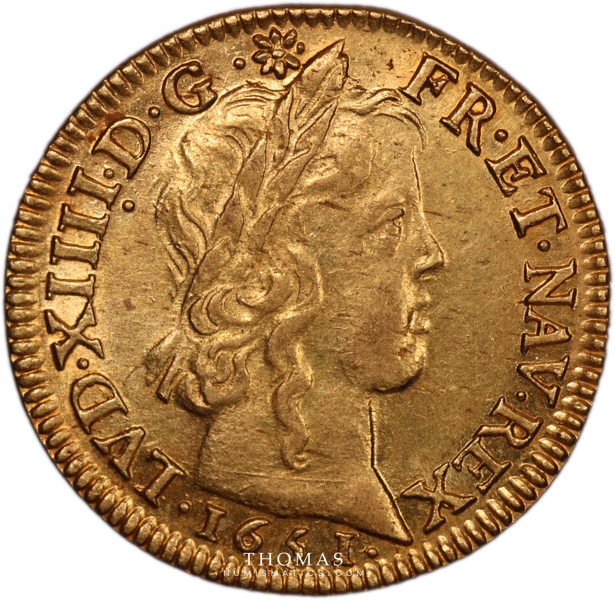 The Louis d'or coin, object of fascination - Thomas Numismatics