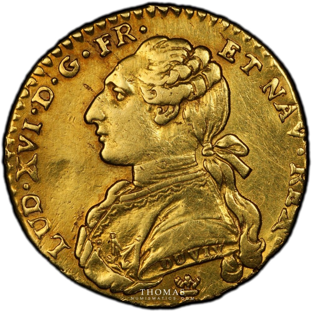Top 7 of the Rarest Coins in the World