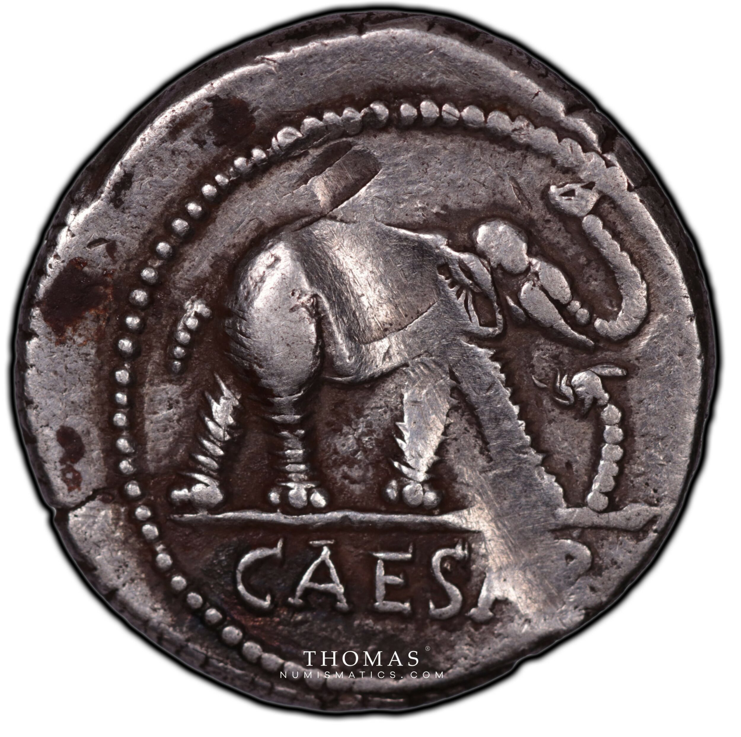 Julius Caesar - Denarius -1 - Thomas Numismatics