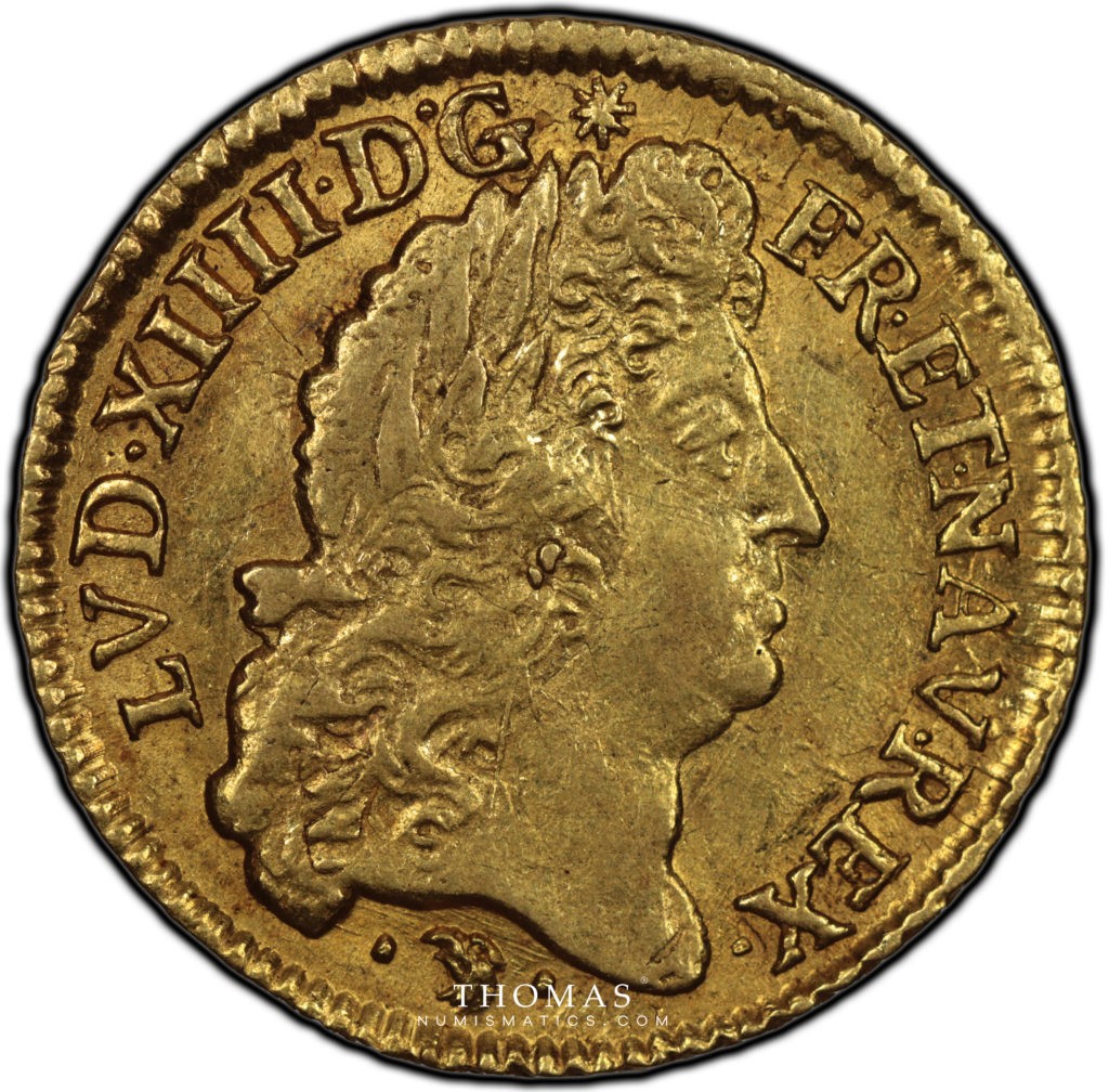 Louis XIV - Louis d'or à l'écu - 1691 D Lyon - Thomas Numismatics