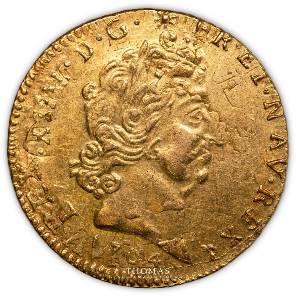 Louis XIV - Louis d'or aux insignes - 1704 D Lyon - Thomas Numismatics