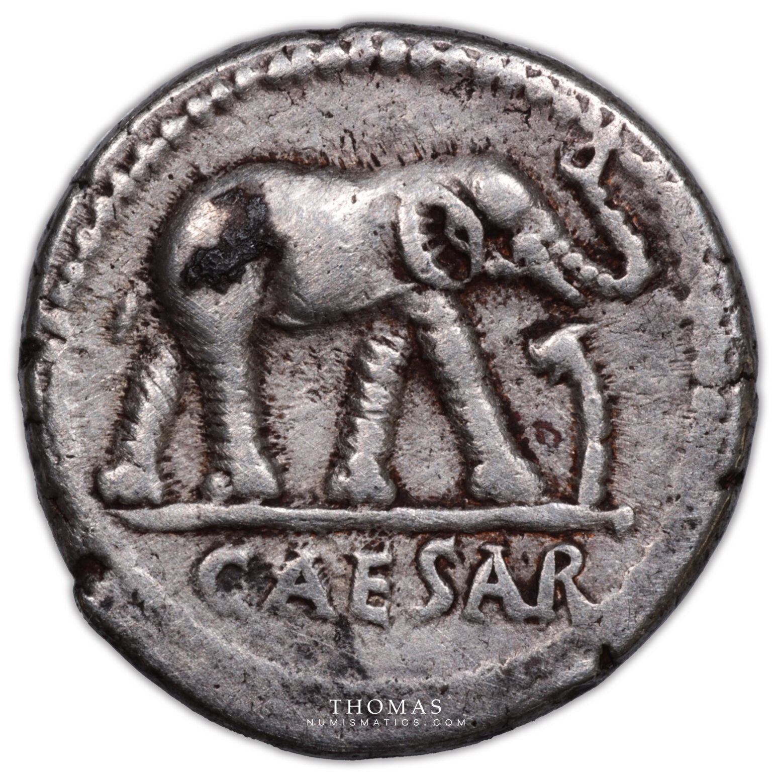Animals on ancient coins